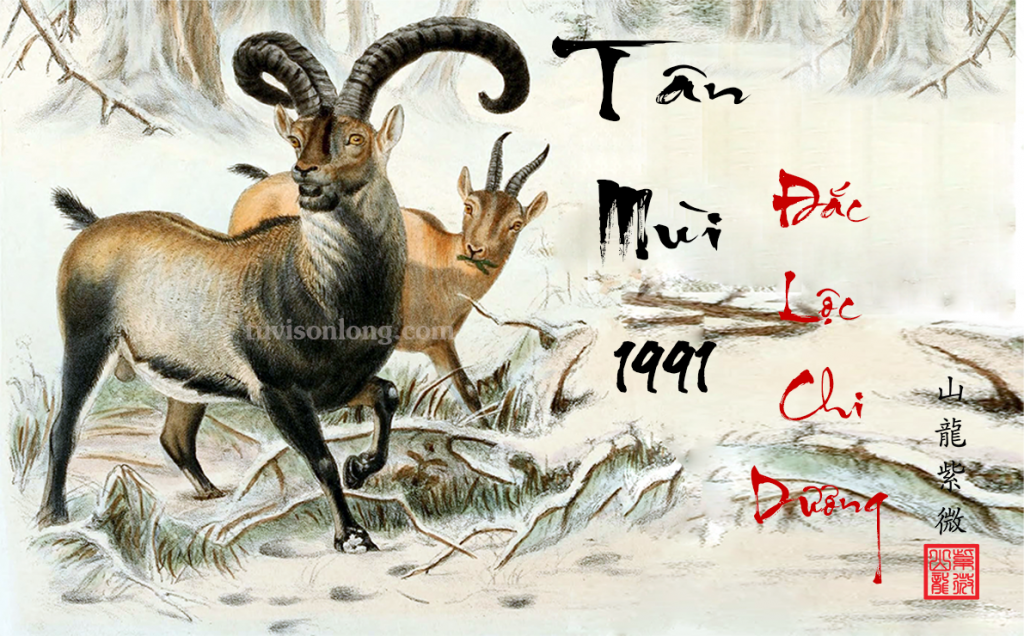 TỬ VI TRỌN ĐỜI TUỔI TÂN MÙI 1991 - ĐẮC LỘC CHI DƯƠNG