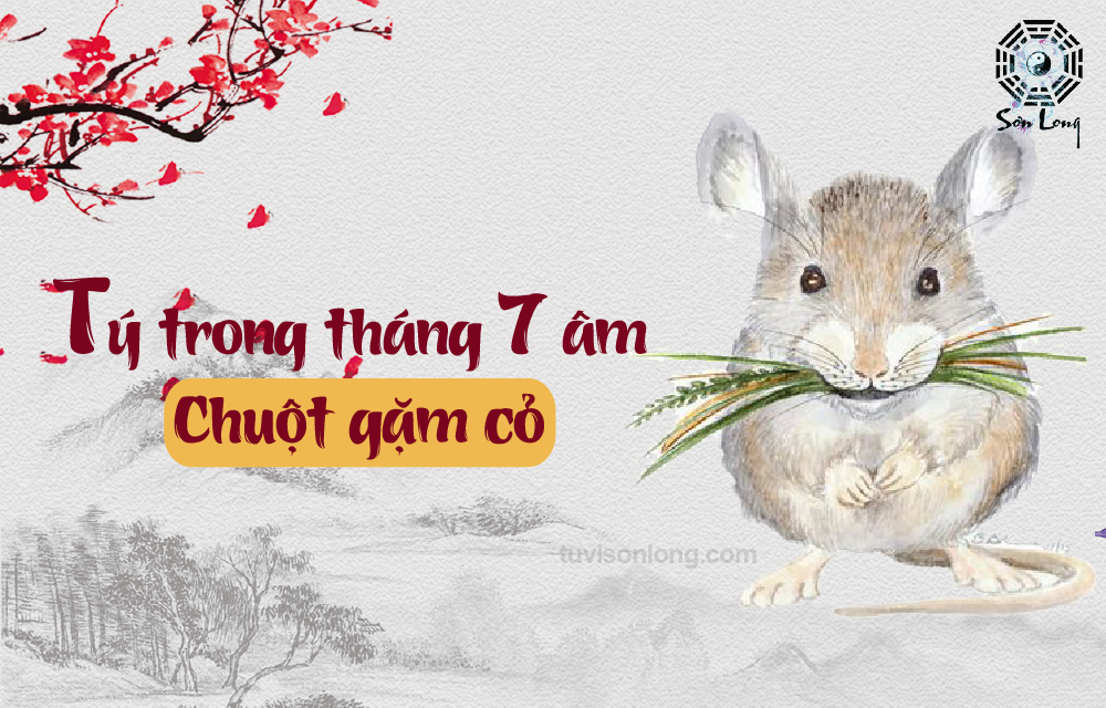 TỬ VI HÀNG NGÀY 05/09/2020 12 CON GIÁP – TUỔI TÍ